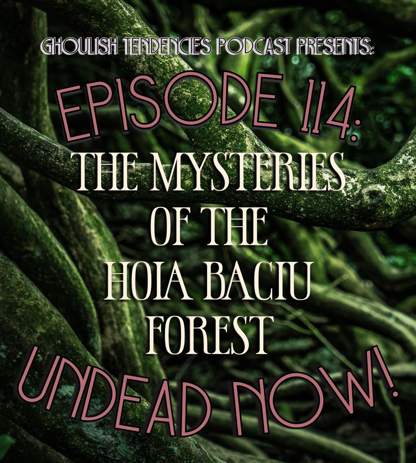 The Mysteries of the Hoia Baciu Forest - Ghoulish Tendencies